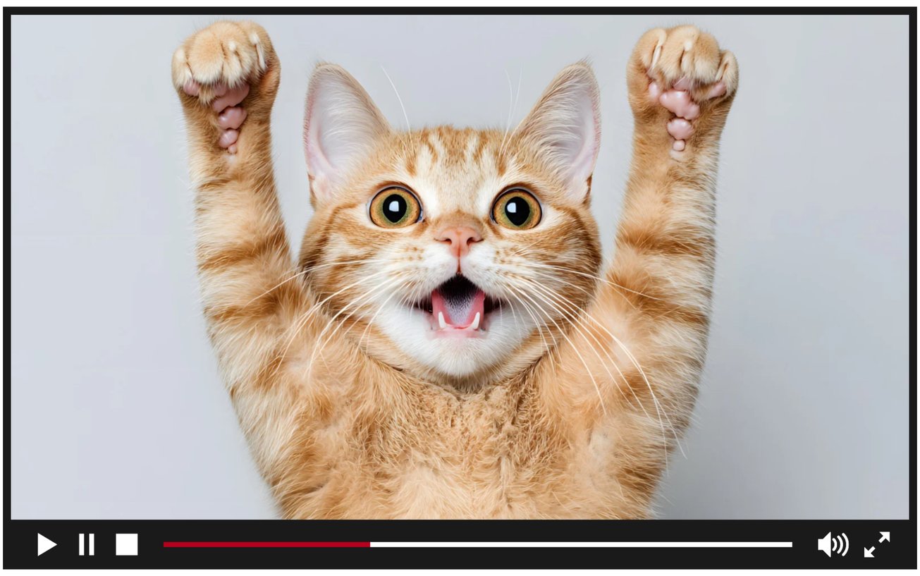 Beyond cat videos: Media Embed for content that matters